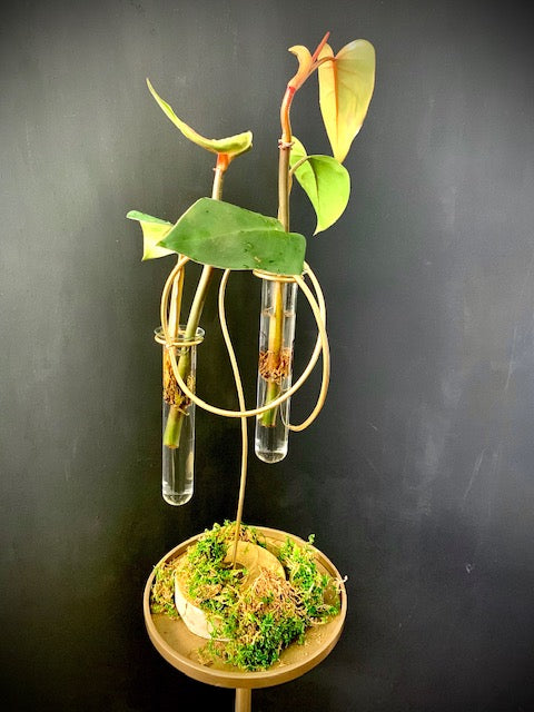 Loopty Loop Test Tube Vessel – Ateliyay